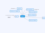 mappa - Mind Map